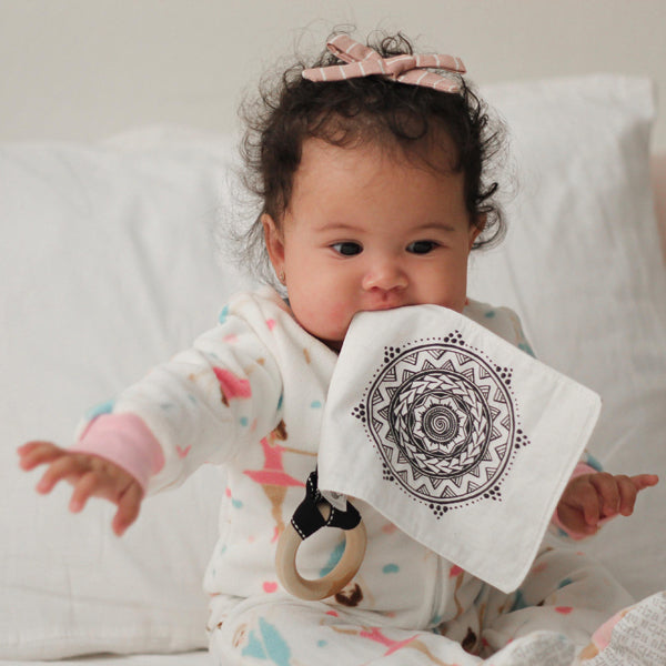 Baby Toys – Mouse Loves Pig